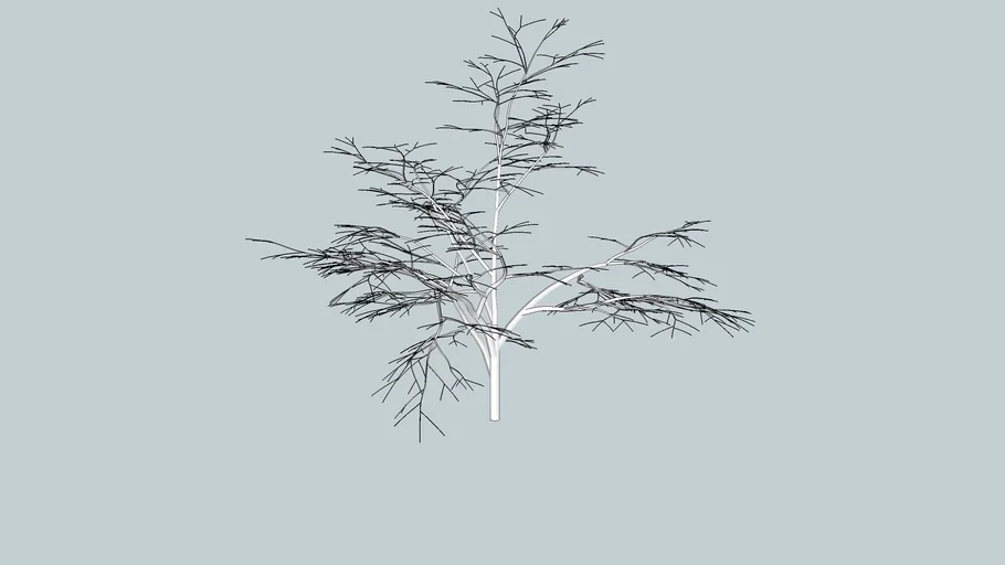 tree without leaf | 3D Warehouse
