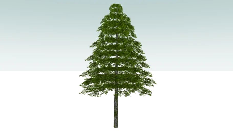 Evergreen Spruce tree (Low poly 314kb) | 3D Warehouse