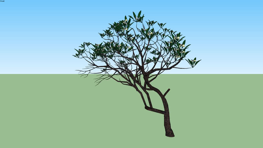 Árvore 13 | 3D Warehouse