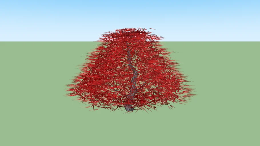 Japanese Maple Tree | 3D Warehouse