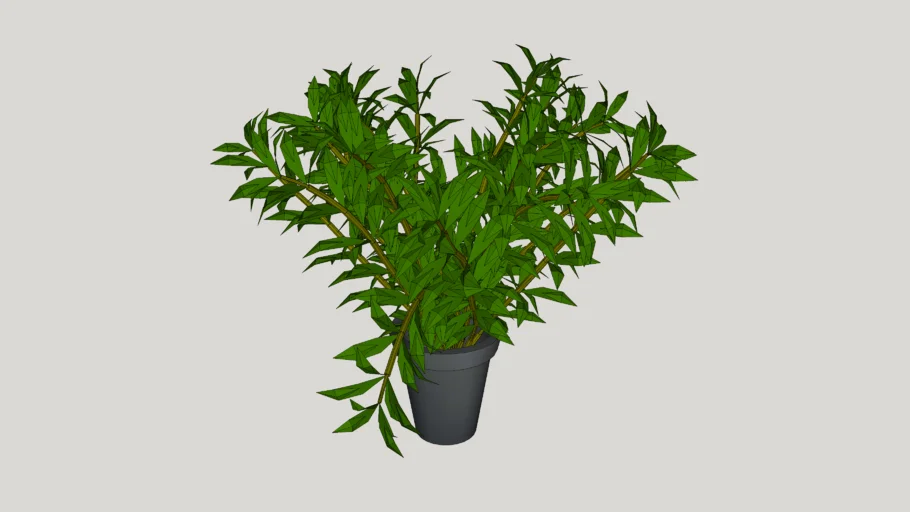 plant | 3D Warehouse