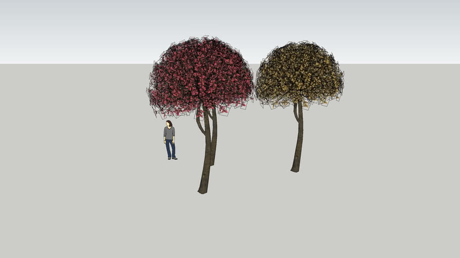 TREE_MODEL_13_ECAP_C | 3D Warehouse