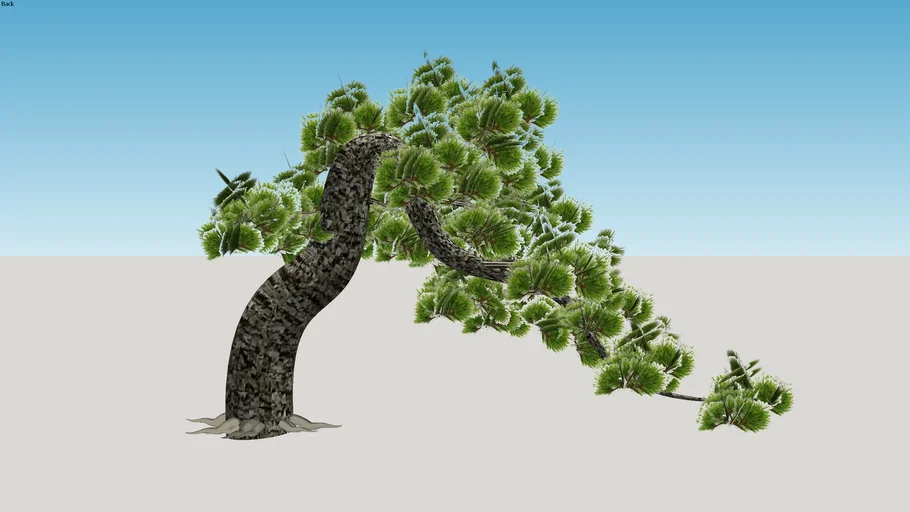 Bon Sai 15 | 3D Warehouse