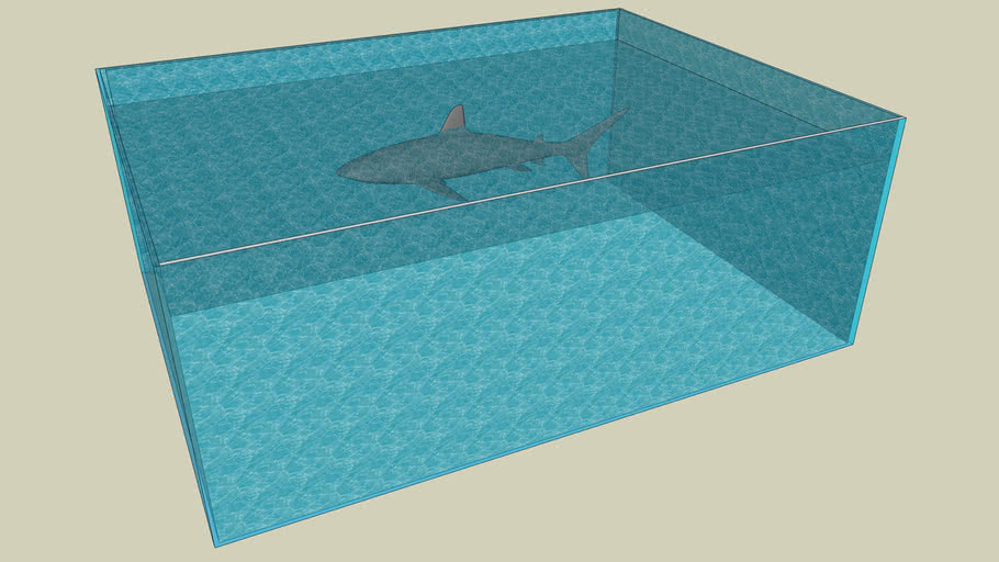 shark | 3D Warehouse