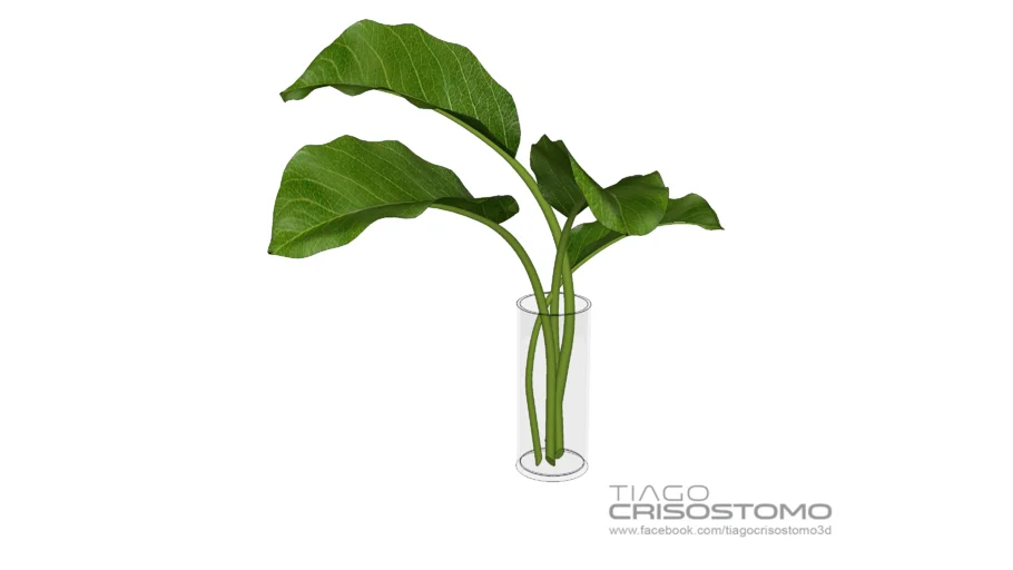 Pacová | 3D Warehouse