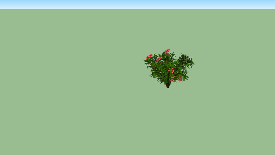 Ixora Malay | 3D Warehouse