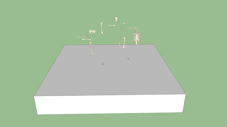 Forensics lab | 3D Warehouse