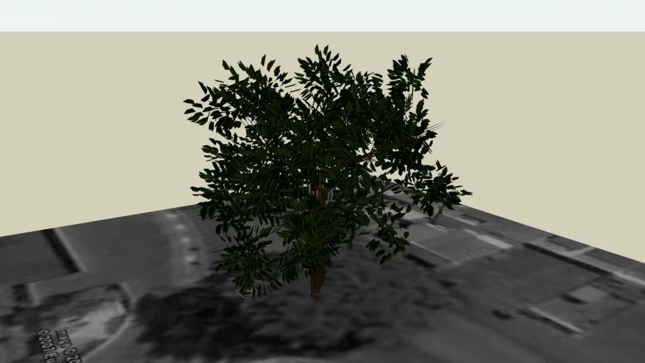 Árvore | 3D Warehouse