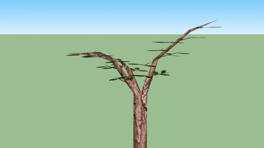Small Tree | 3D Warehouse