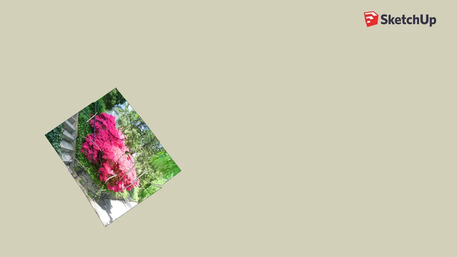 pink tree | 3D Warehouse