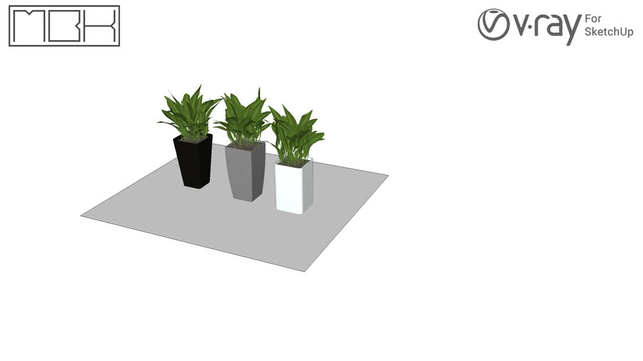 PLANTA CON PLANTERA 3D | 3D Warehouse