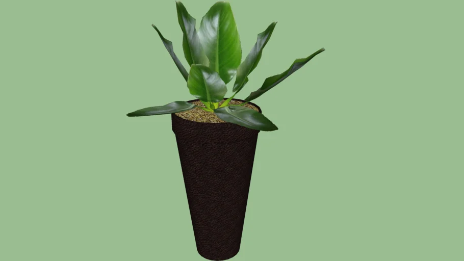 Pacova | 3D Warehouse