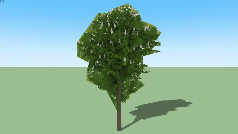 small tree | 3D Warehouse