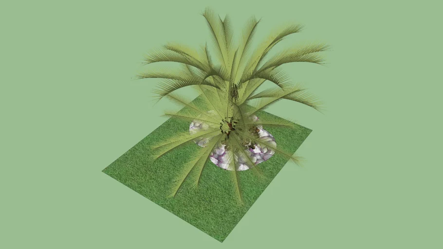 Cicas | 3D Warehouse