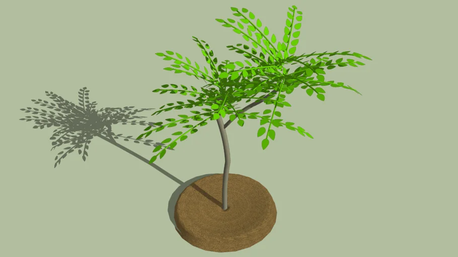 Tree | 3D Warehouse