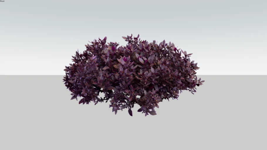 Little Ruby TM | 3D Warehouse