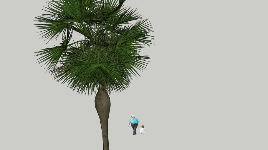 Palm tree | 3D Warehouse