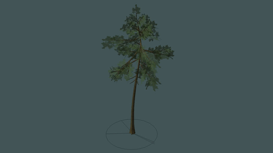 Pine tree | 3D Warehouse