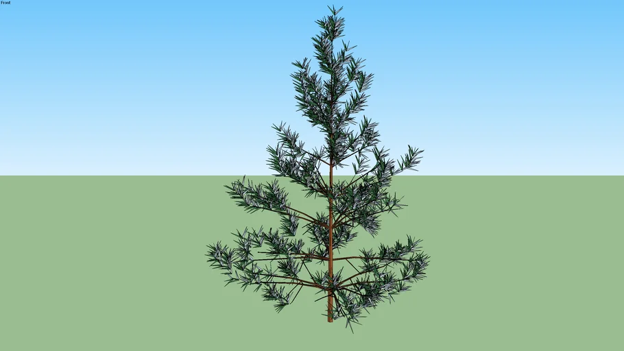 Pinheiro 04 | 3D Warehouse