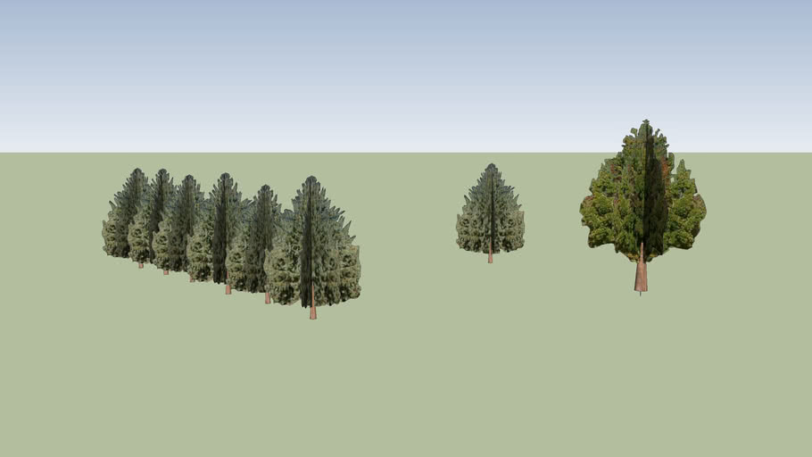 Trees | 3D Warehouse