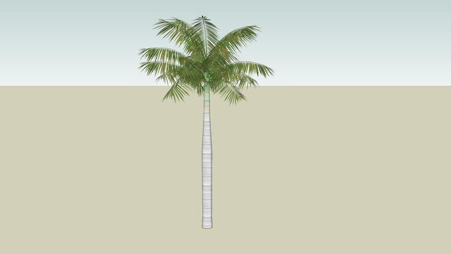 palm tree 1 | 3D Warehouse