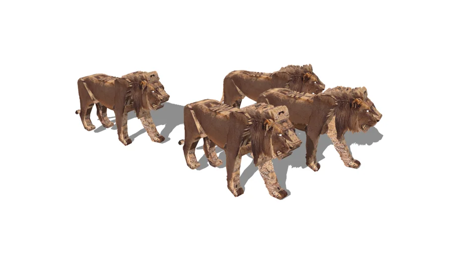 Lions | 3D Warehouse