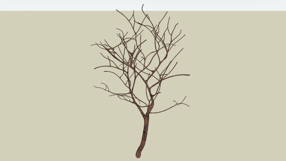 árvore seca | 3D Warehouse
