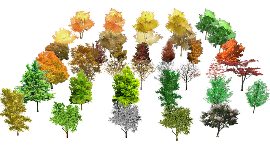 2d trees | 3D Warehouse