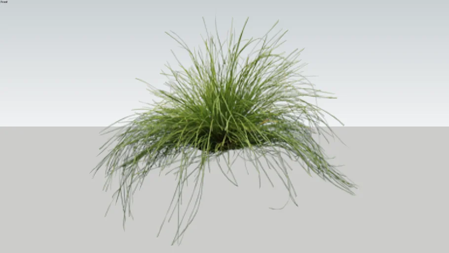 Evergreen Baby TM | 3D Warehouse