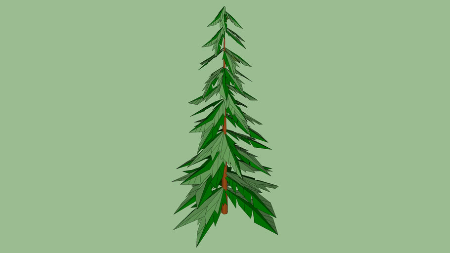 cc21 pine tree | 3D Warehouse