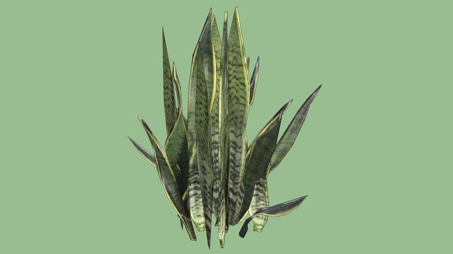 JD Spada Plant | 3D Warehouse