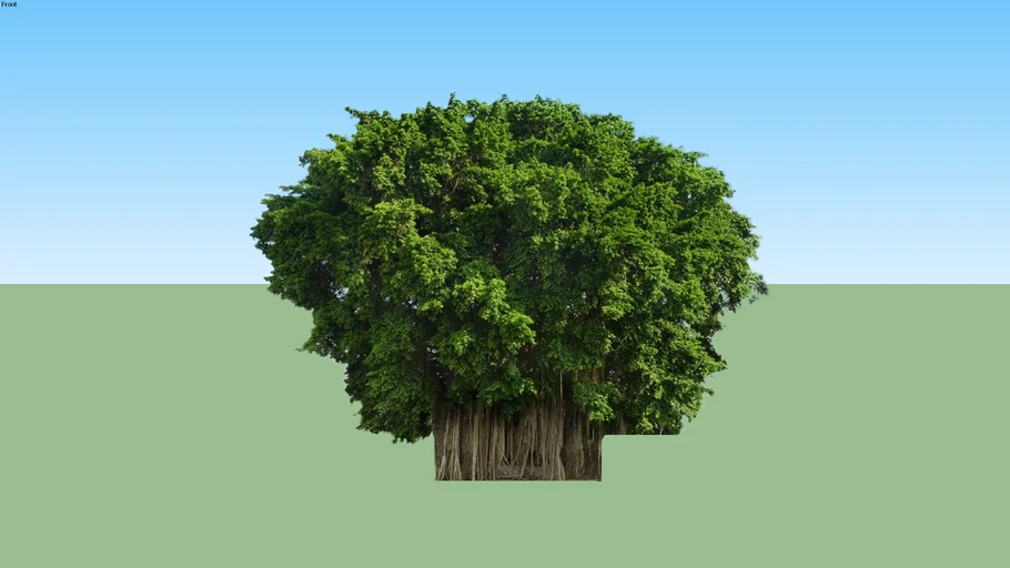LARGE TREE | 3D Warehouse