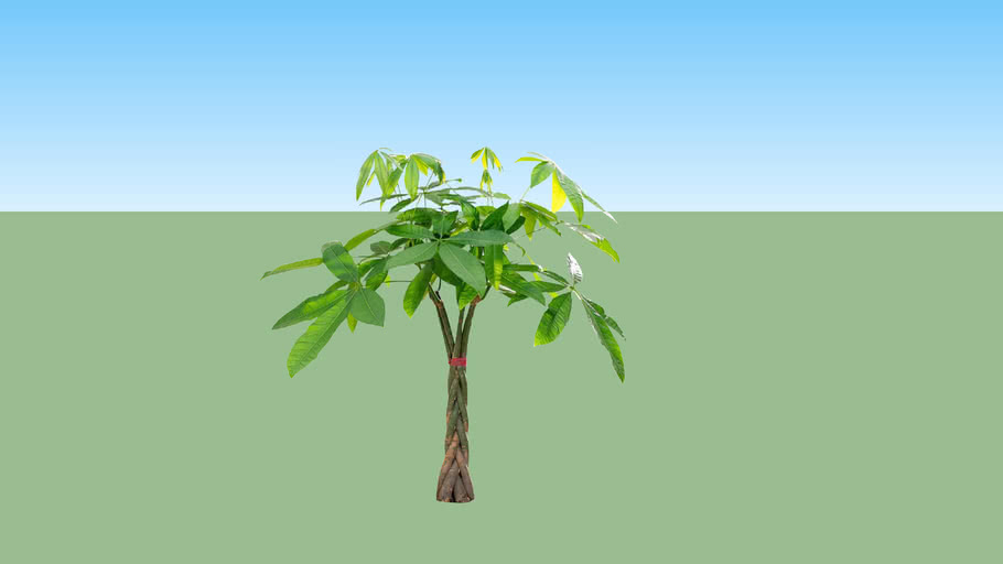 Mini Pulai | 3D Warehouse