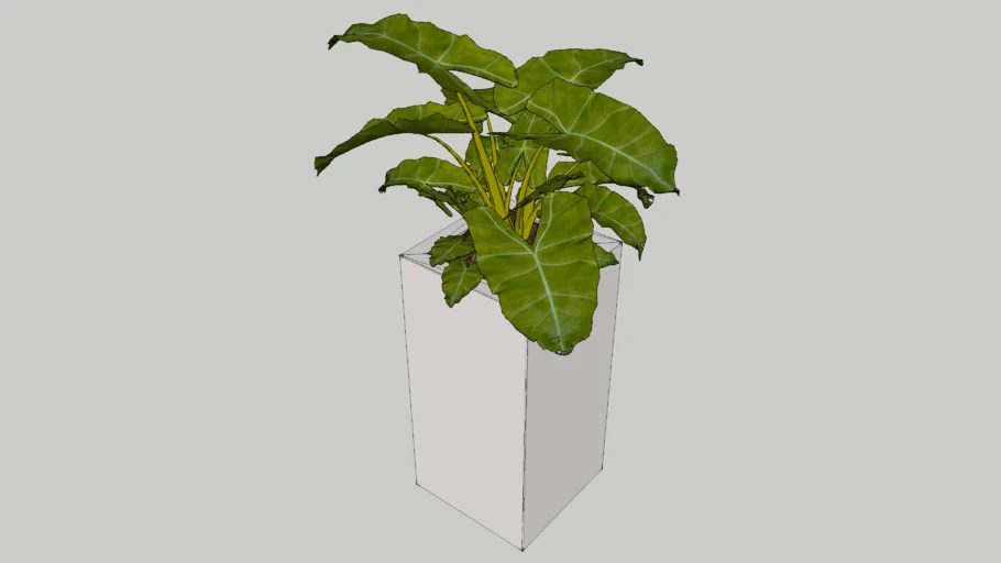 Pot Plant | 3D Warehouse