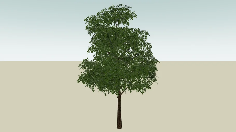 ARVORE | 3D Warehouse