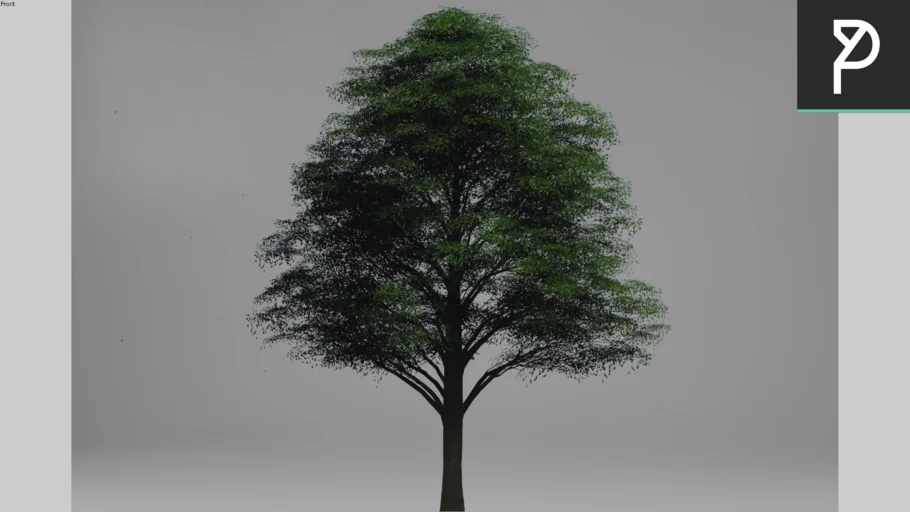 2DTrees_015 Leaf Medium | 3D Warehouse