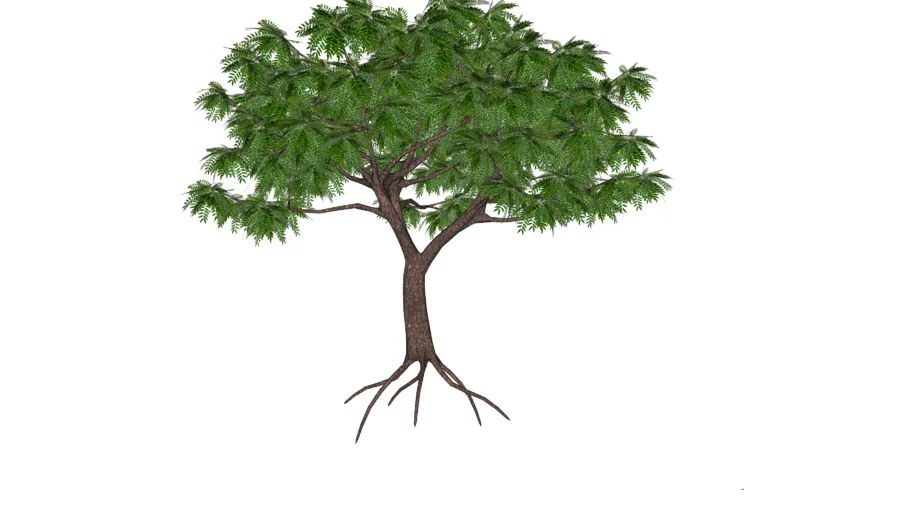 Tree | 3D Warehouse