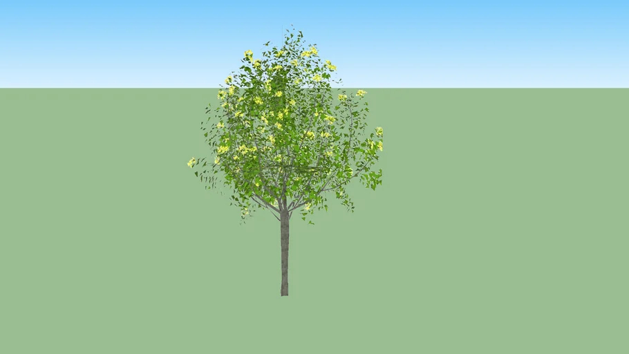Tree 01 | 3D Warehouse