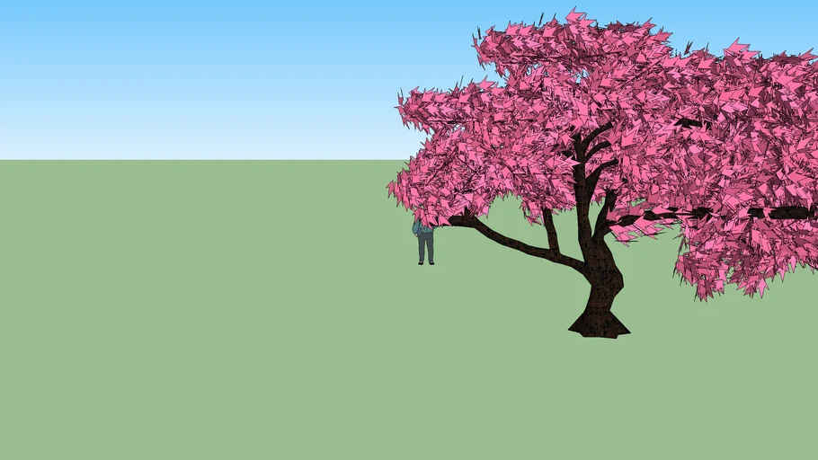 orignal cherry tree | 3D Warehouse