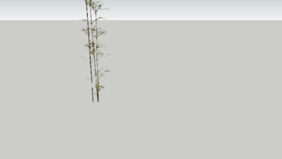2D BAMBOO | 3D Warehouse