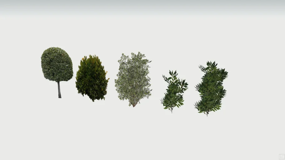 Laurel Shrubs | 3D Warehouse