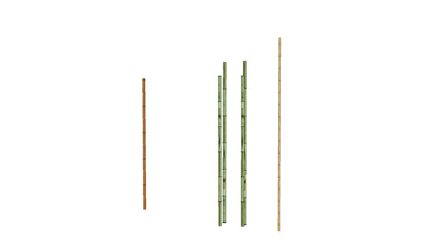 BAMBU _BAMBOO | 3D Warehouse