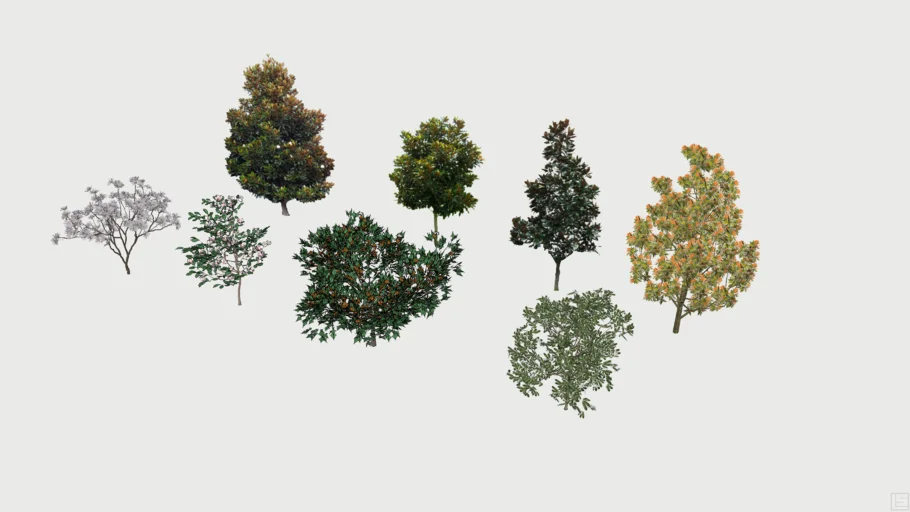 Magnolia Trees | 3D Warehouse