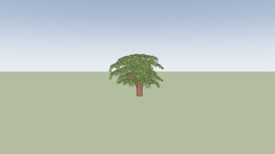 Arbol | 3D Warehouse