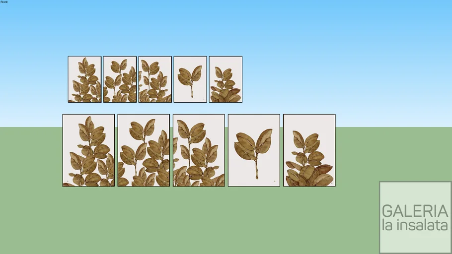 FLORA DOURADA | 3D Warehouse