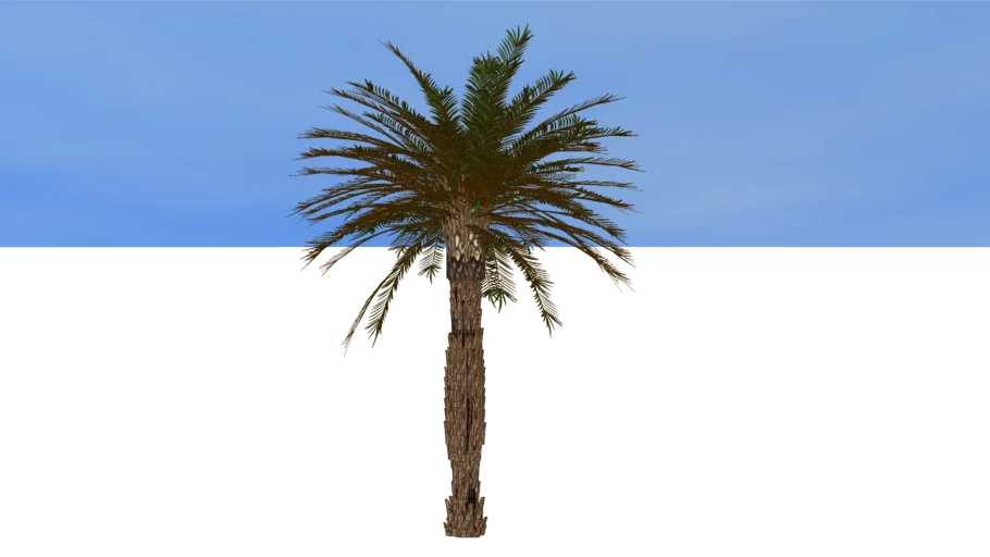 Dates Palm version 2 | 3D Warehouse