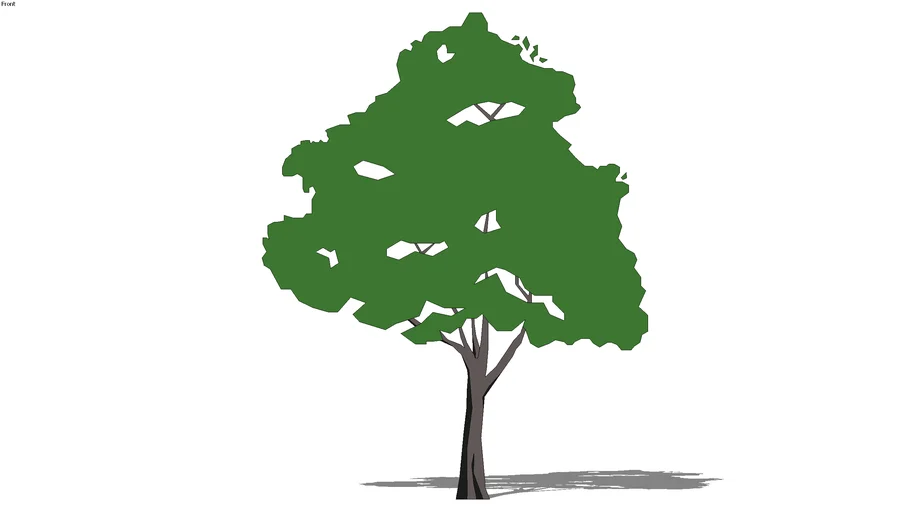 Tree_2D_Schematic_Oak | 3D Warehouse