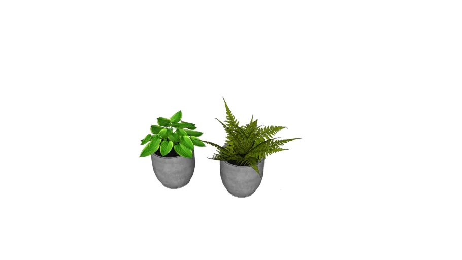 Plant in beton pot | 3D Warehouse