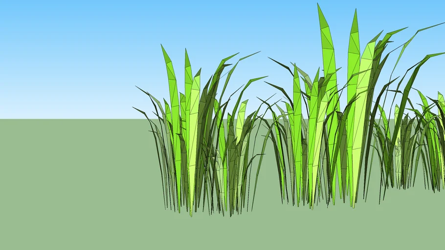 big grass | 3D Warehouse