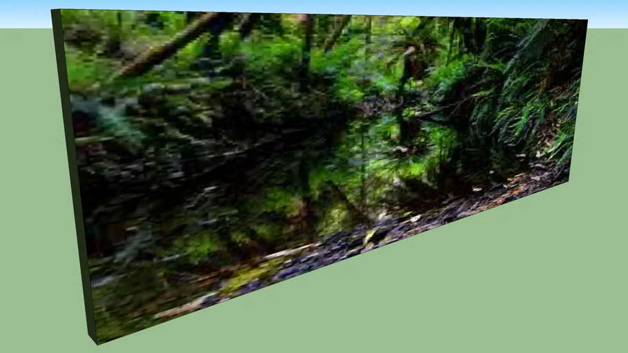 rainforest 1 | 3D Warehouse